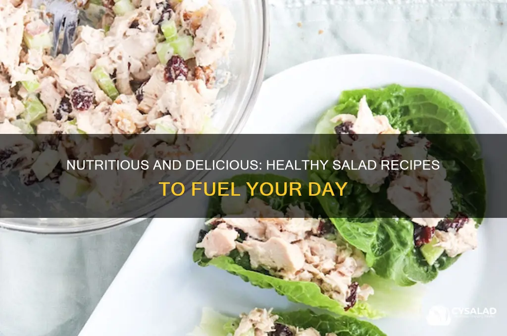 Nutritious And Delicious: Healthy Salad Recipes To Fuel Your Day | CySalad