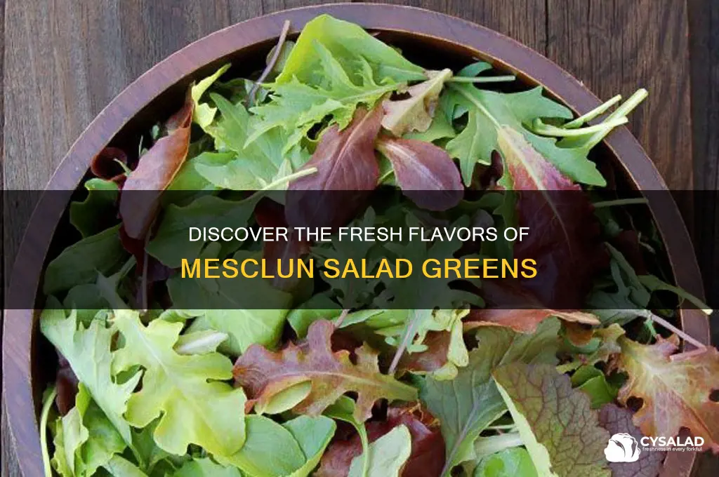 Discover The Fresh Flavors Of Mesclun Salad Greens | CySalad