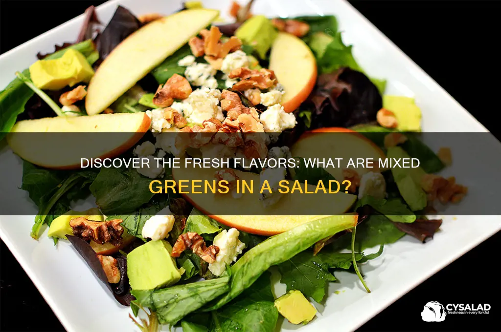 Discover The Fresh Flavors: What Are Mixed Greens In A Salad? | CySalad