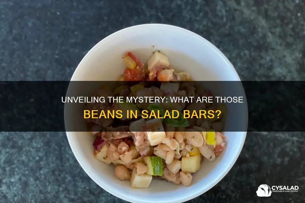 Unveiling The Mystery: What Are Those Beans In Salad Bars? | CySalad