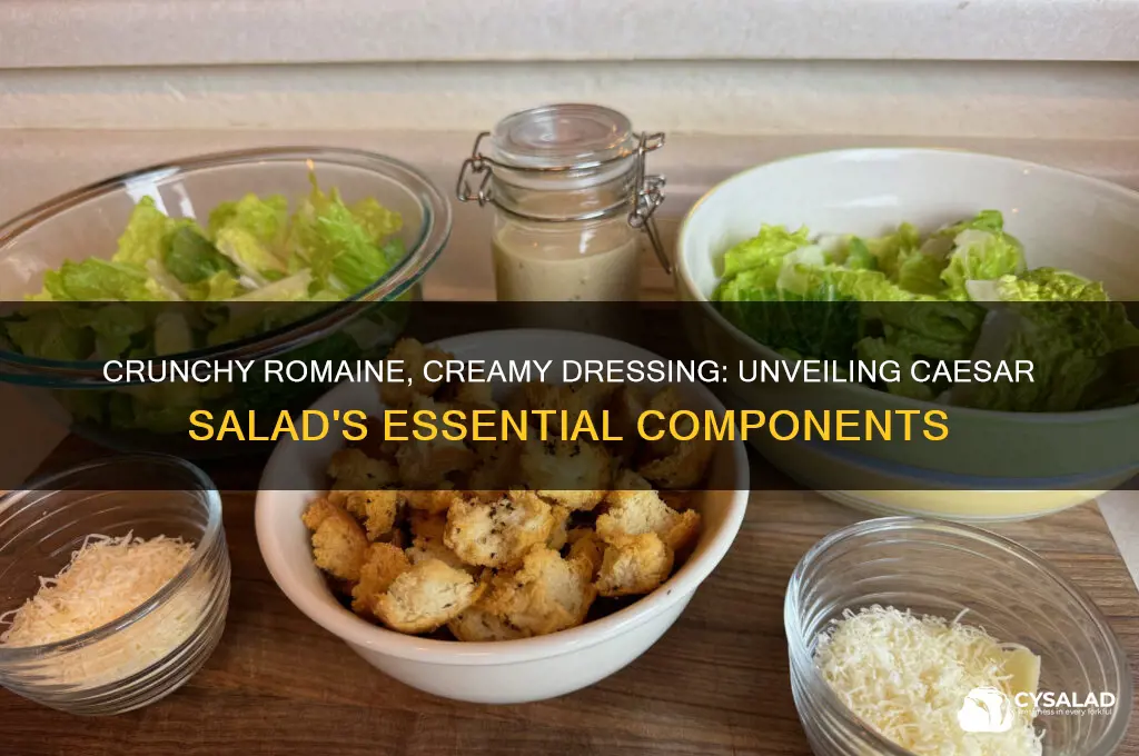 Crunchy Romaine, Creamy Dressing: Unveiling Caesar Salad's Essential ...