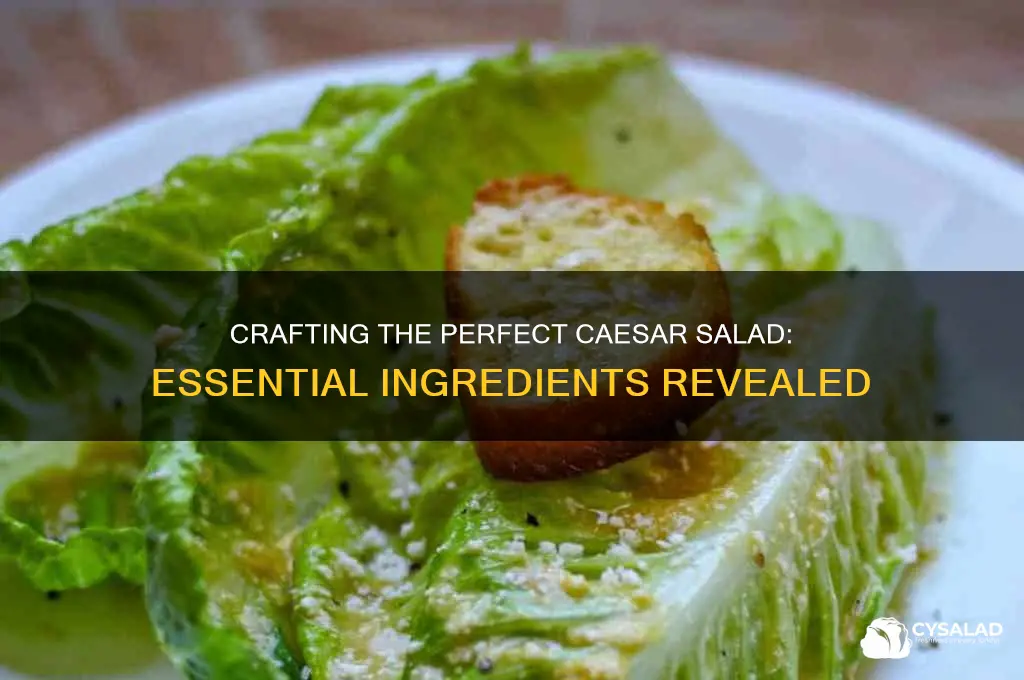 Crafting The Perfect Caesar Salad: Essential Ingredients Revealed | CySalad