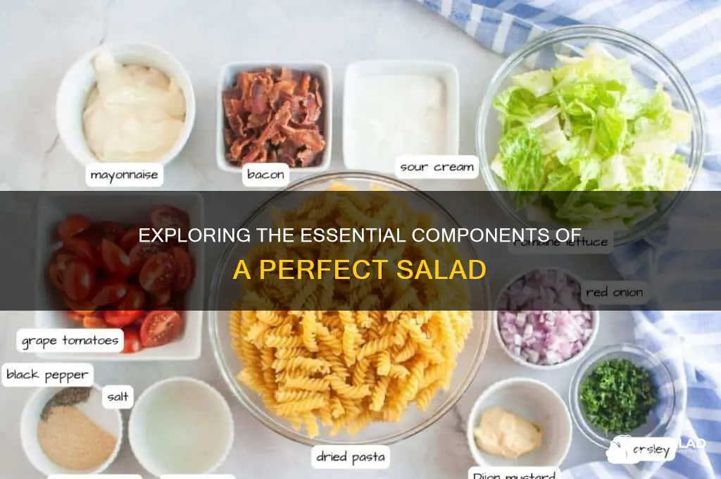 Exploring The Essential Components Of A Perfect Salad | CySalad