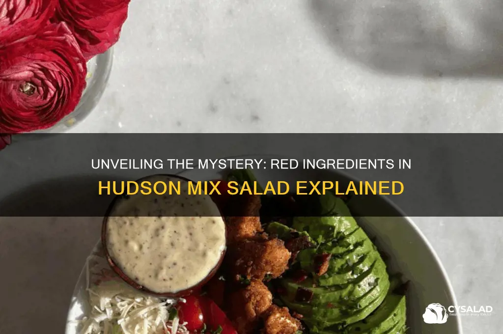 Unveiling The Mystery: Red Ingredients In Hudson Mix Salad Explained ...