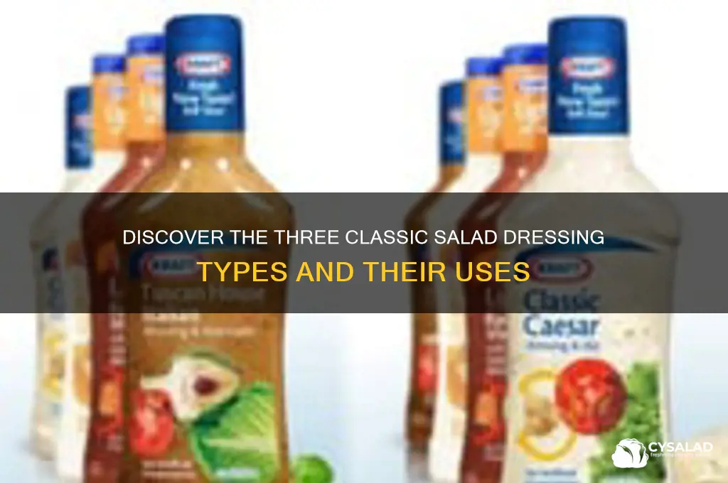 Discover The Three Classic Salad Dressing Types And Their Uses | CySalad