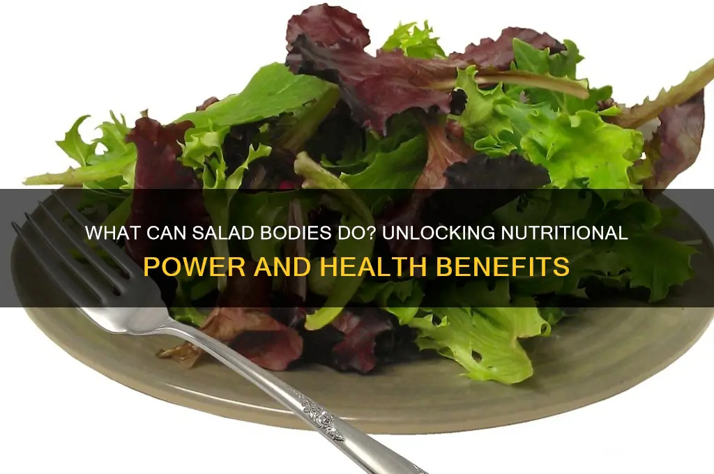 What Can Salad Bodies Do? Unlocking Nutritional Power And Health ...