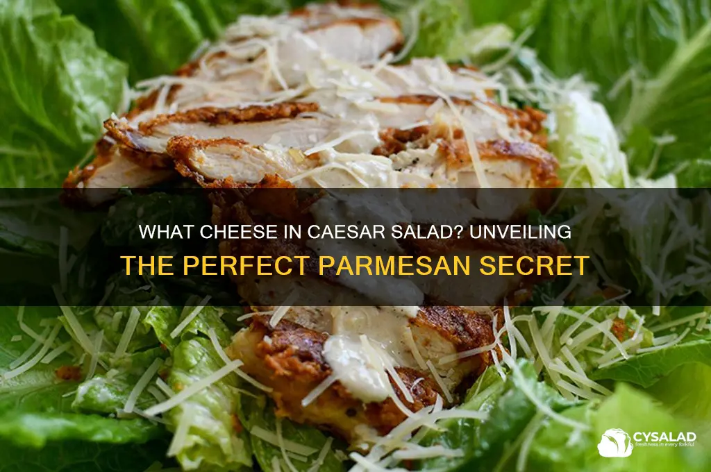 What Cheese In Caesar Salad? Unveiling The Perfect Parmesan Secret ...