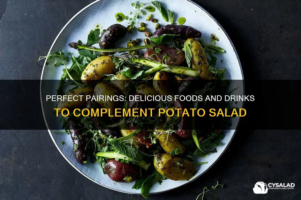 Perfect Pairings: Delicious Foods And Drinks To Complement Potato Salad ...