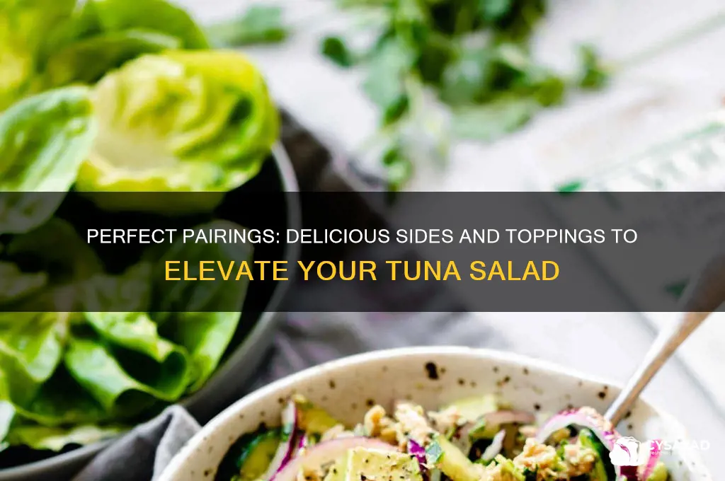 Perfect Pairings: Delicious Sides And Toppings To Elevate Your Tuna ...