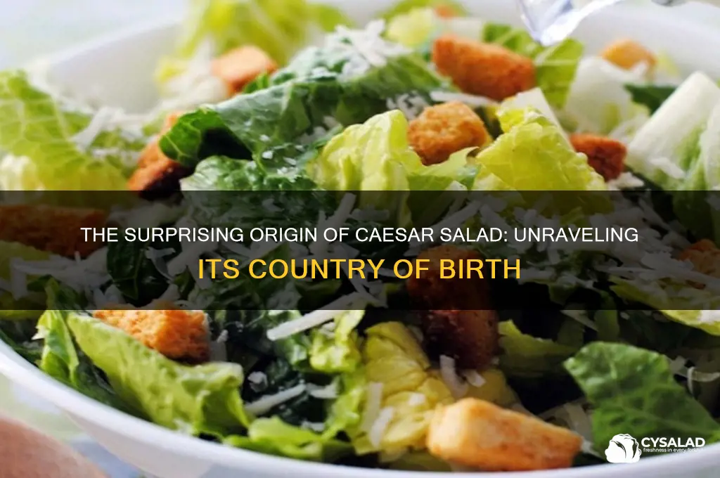 The Surprising Origin Of Caesar Salad: Unraveling Its Country Of Birth ...