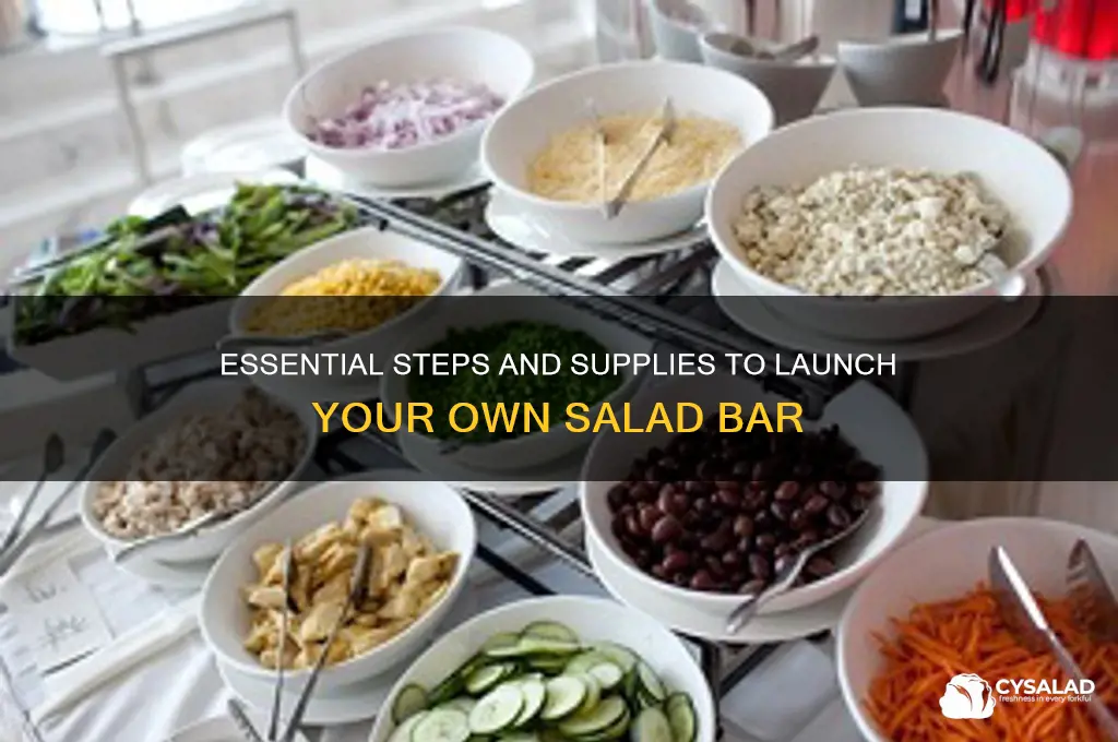 Essential Steps And Supplies To Launch Your Own Salad Bar | CySalad
