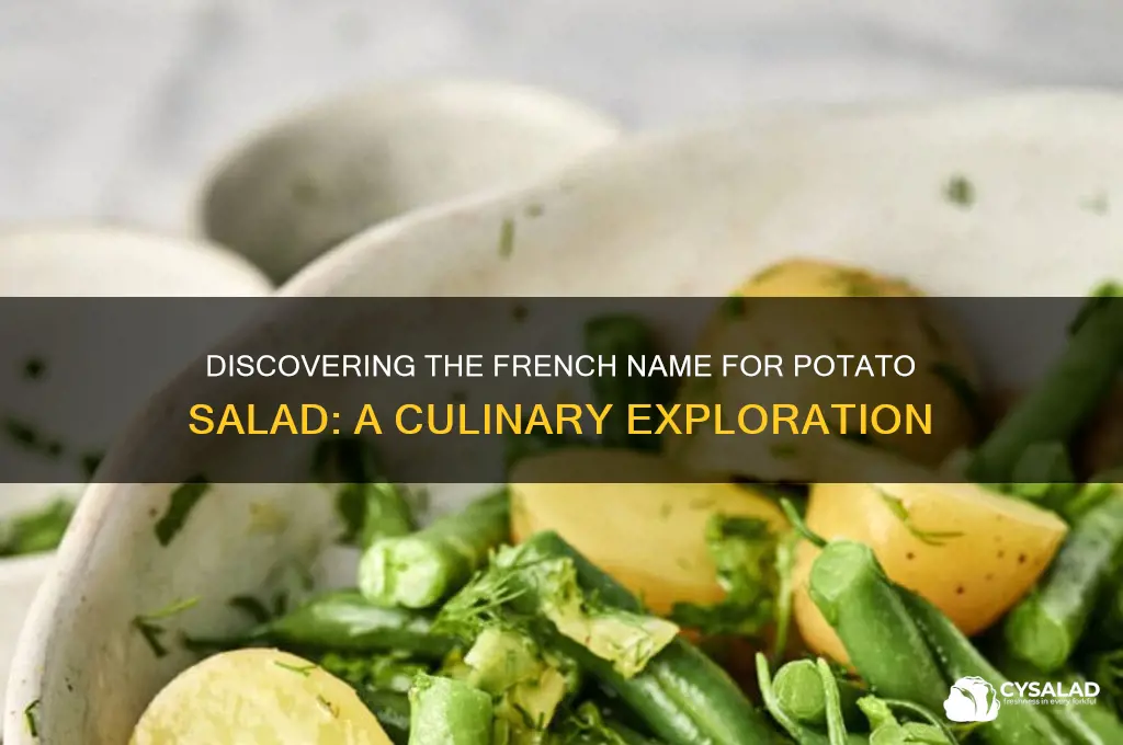 Discovering The French Name For Potato Salad: A Culinary Exploration ...