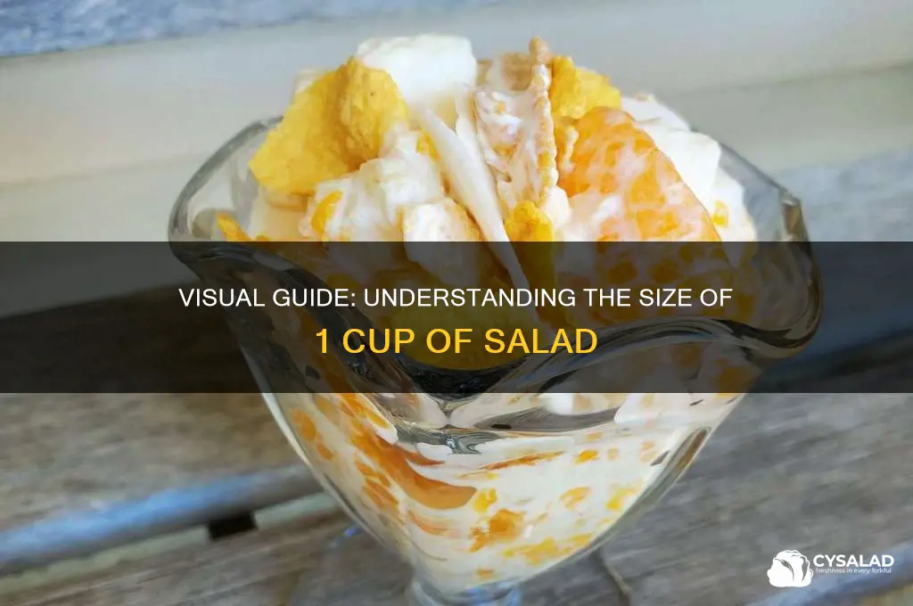 Visual Guide: Understanding The Size Of 1 Cup Of Salad | CySalad