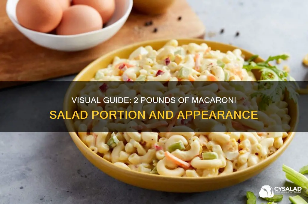 Visual Guide: 2 Pounds Of Macaroni Salad Portion And Appearance | CySalad