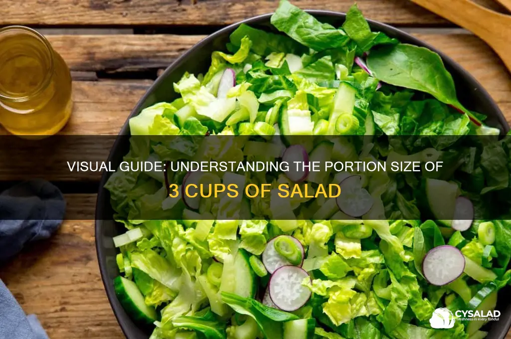 Visual Guide: Understanding The Portion Size Of 3 Cups Of Salad | CySalad
