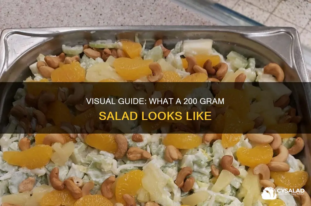Visual Guide: What A 200 Gram Salad Looks Like | CySalad