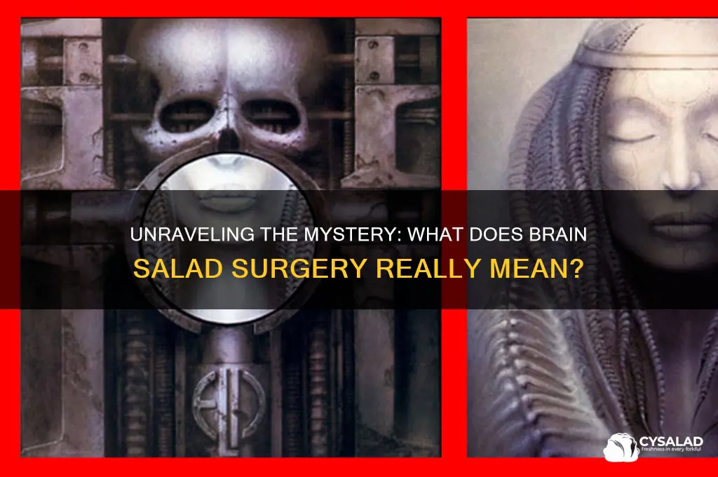 Unraveling The Mystery: What Does Brain Salad Surgery Really Mean ...