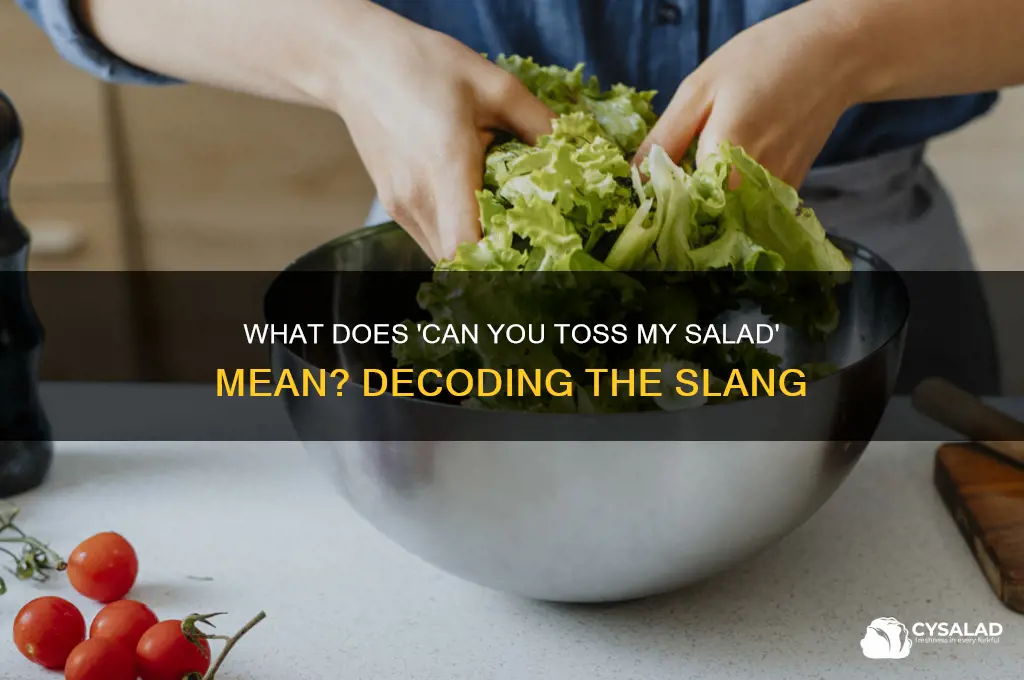 What Does 'Can You Toss My Salad' Mean? Decoding The Slang | CySalad