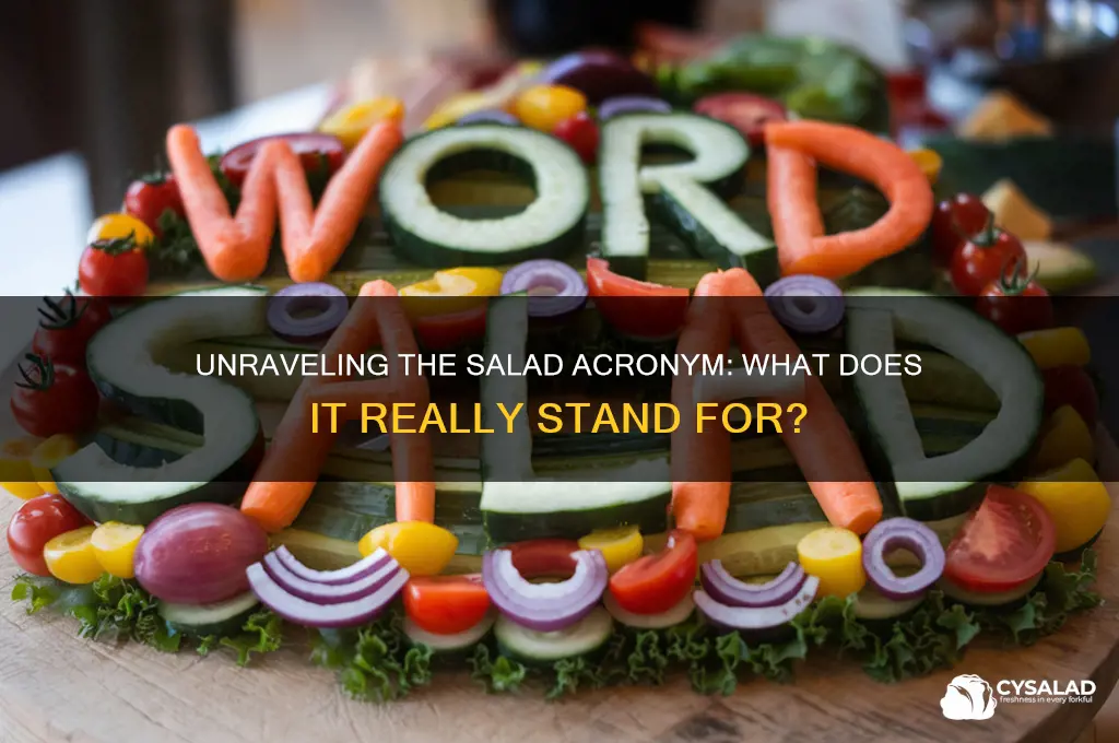 Unraveling The Salad Acronym: What Does It Really Stand For? | CySalad