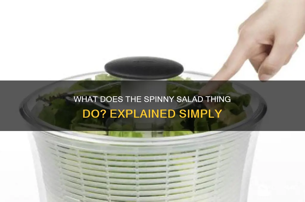 What Does The Spinny Salad Thing Do? Explained Simply | CySalad