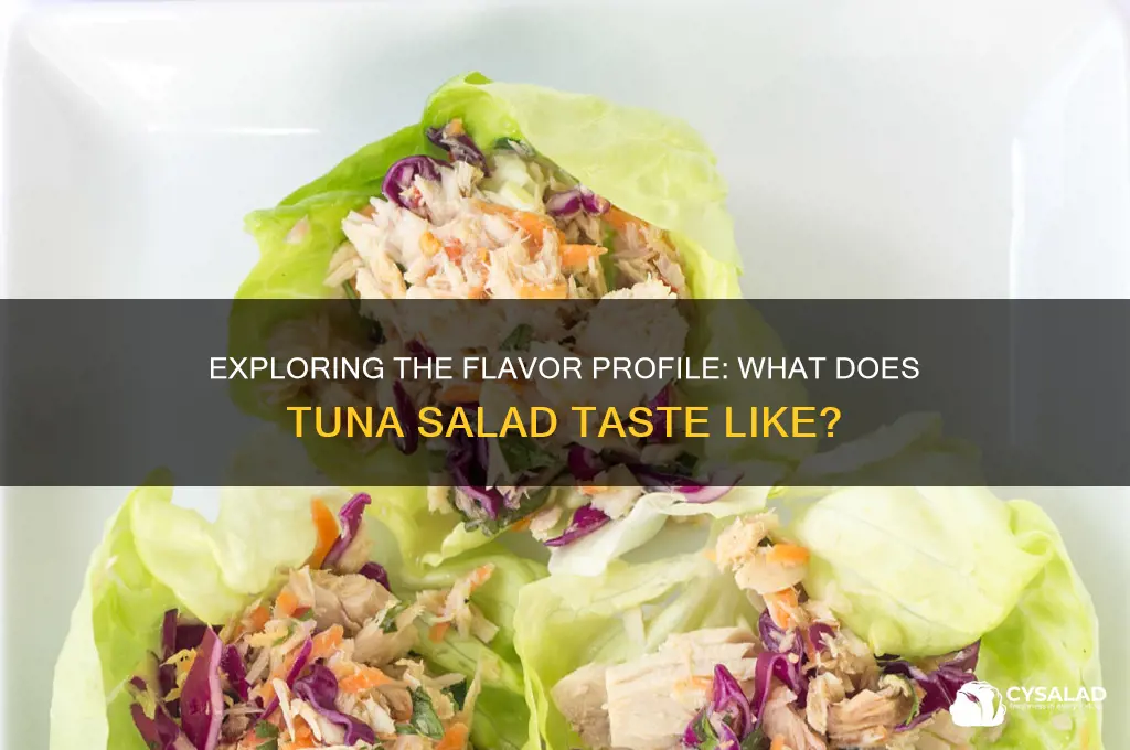 Exploring The Flavor Profile: What Does Tuna Salad Taste Like? | CySalad