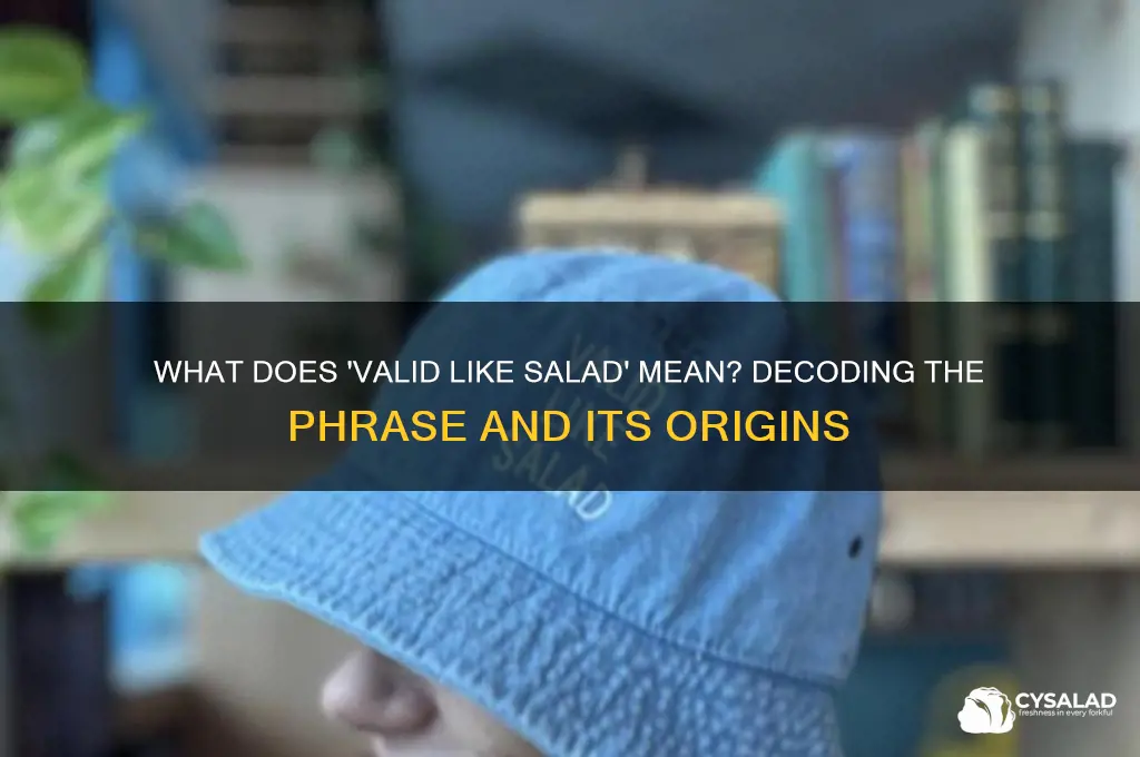 What Does 'Valid Like Salad' Mean? Decoding The Phrase And Its Origins ...