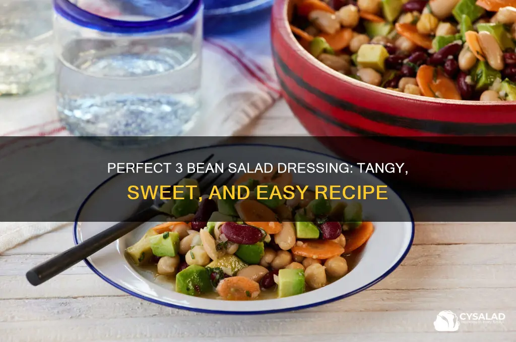 Perfect 3 Bean Salad Dressing: Tangy, Sweet, And Easy Recipe | CySalad