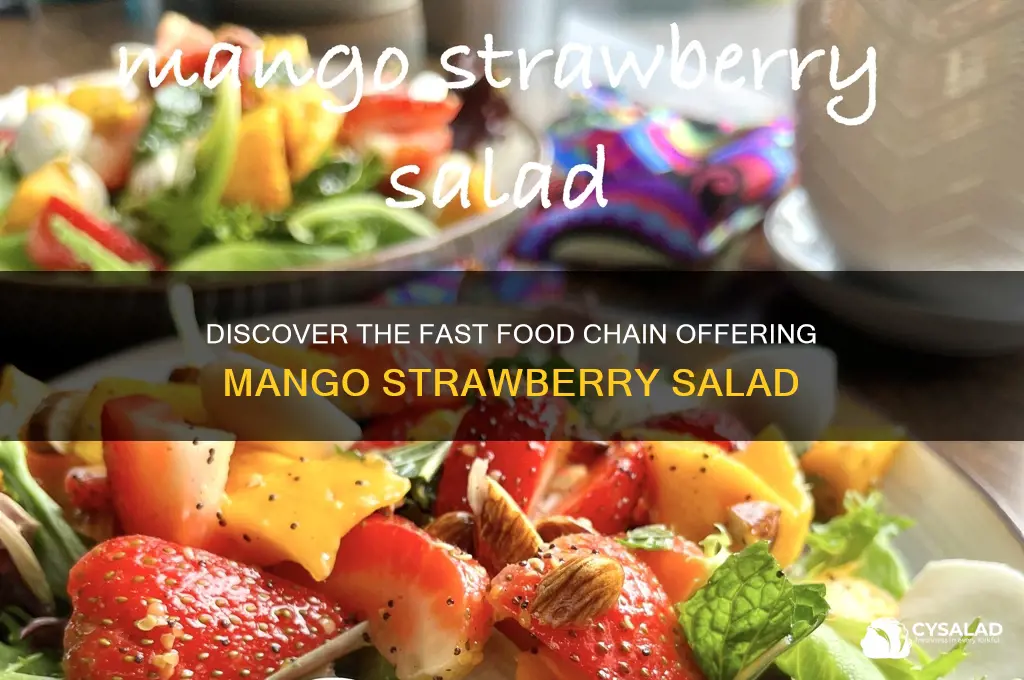 Discover The Fast Food Chain Offering Mango Strawberry Salad | CySalad
