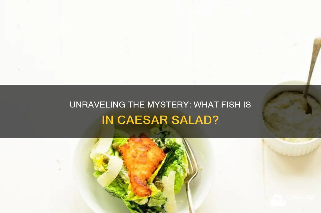 Unraveling The Mystery: What Fish Is In Caesar Salad? | CySalad