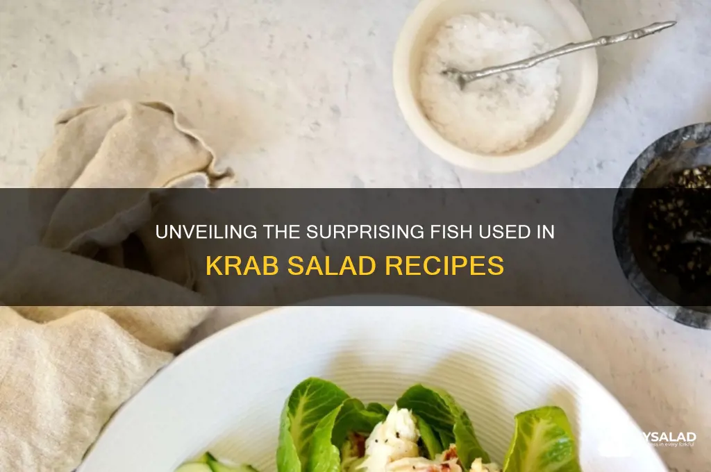 Unveiling The Surprising Fish Used In Krab Salad Recipes | CySalad
