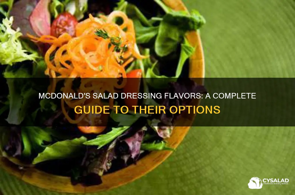 Mcdonald's Salad Dressing Flavors: A Complete Guide To Their Options ...