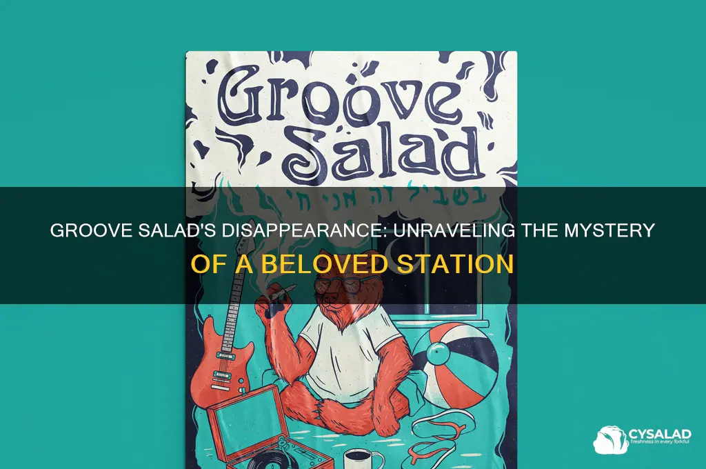 Groove Salad's Disappearance: Unraveling The Mystery Of A Beloved ...