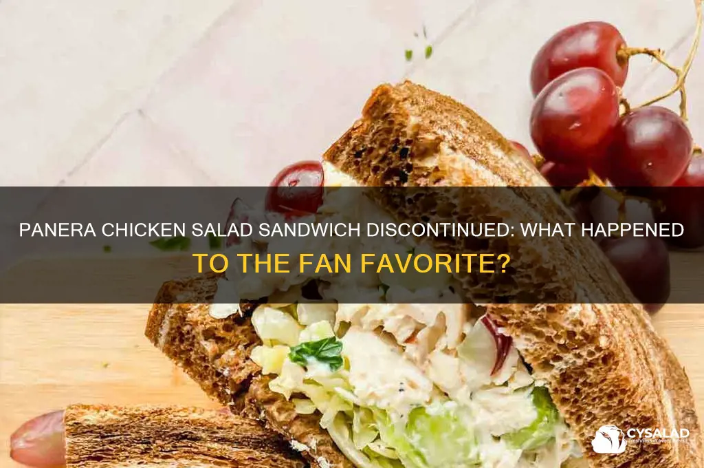 Panera Chicken Salad Sandwich Discontinued: What Happened To The Fan ...