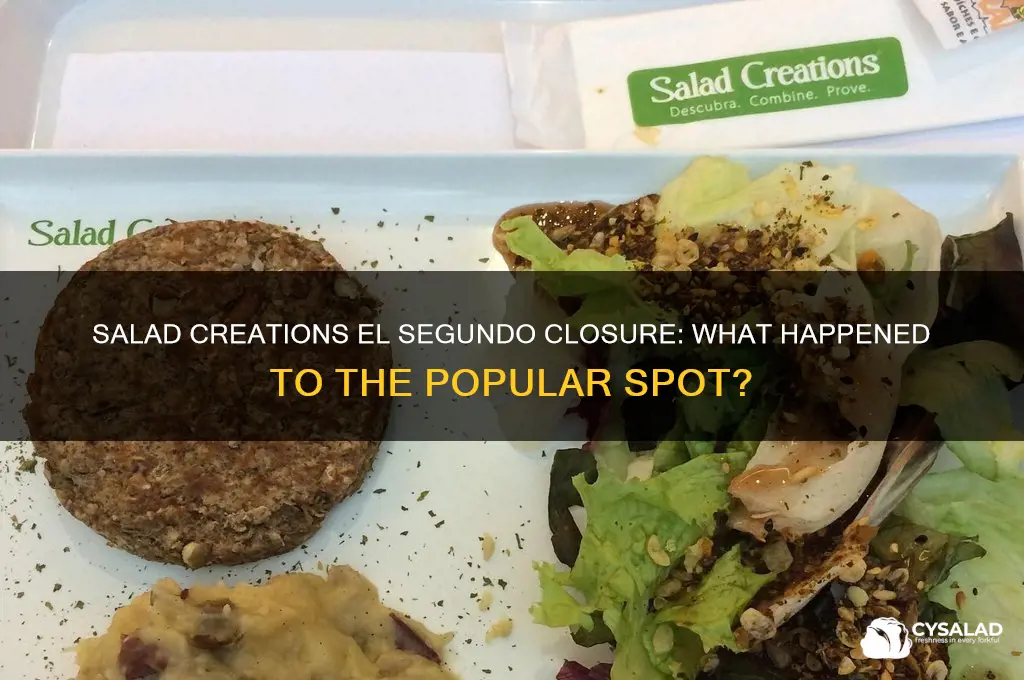 Salad Creations El Segundo Closure: What Happened To The Popular Spot ...