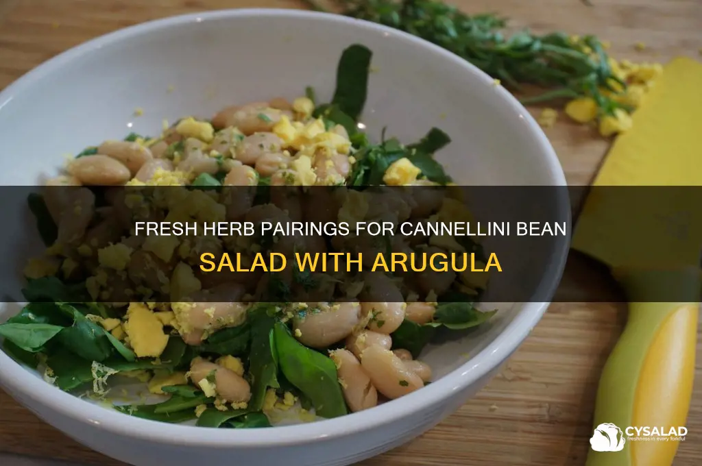 Fresh Herb Pairings For Cannellini Bean Salad With Arugula | CySalad
