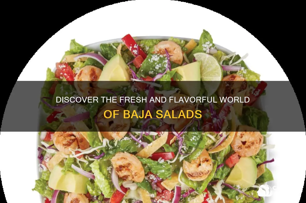 Discover The Fresh And Flavorful World Of Baja Salads | CySalad