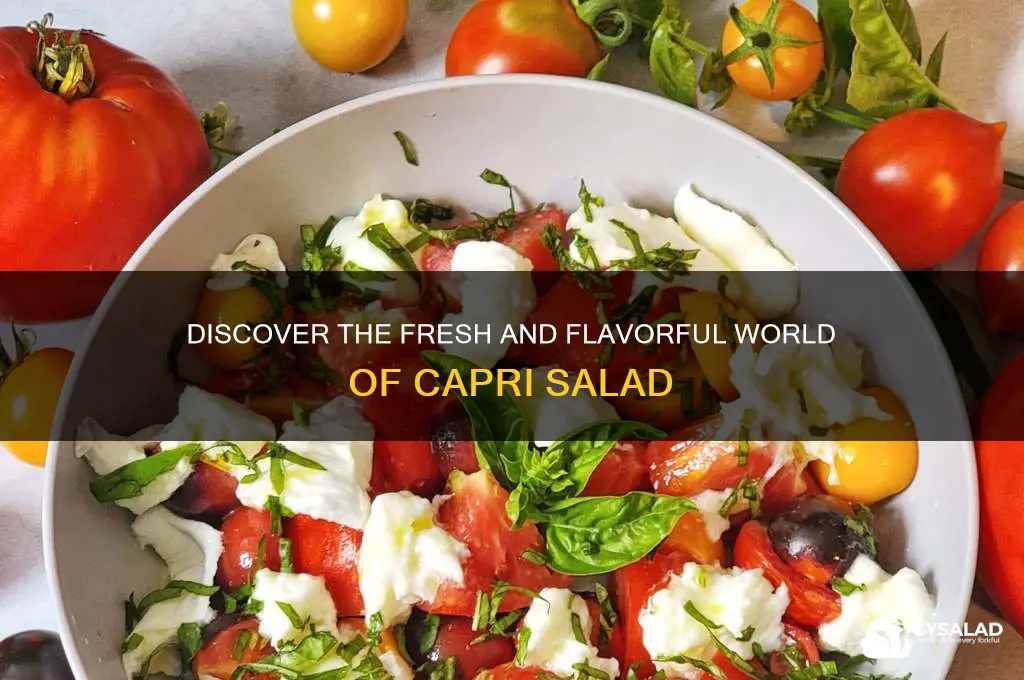 Discover The Fresh And Flavorful World Of Capri Salad | CySalad