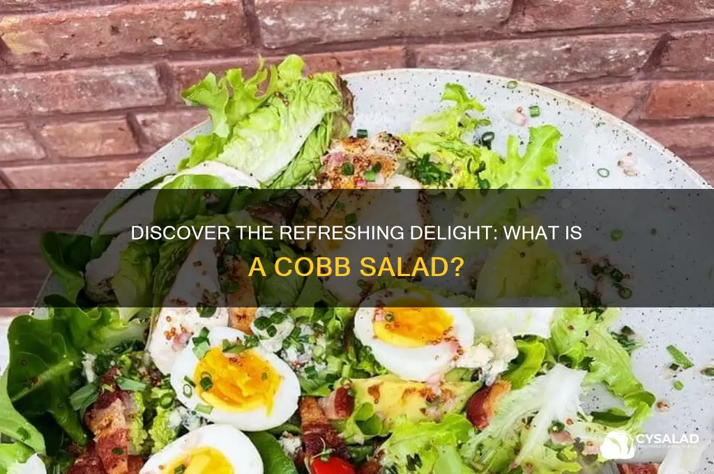 Discover The Refreshing Delight: What Is A Cobb Salad? | CySalad