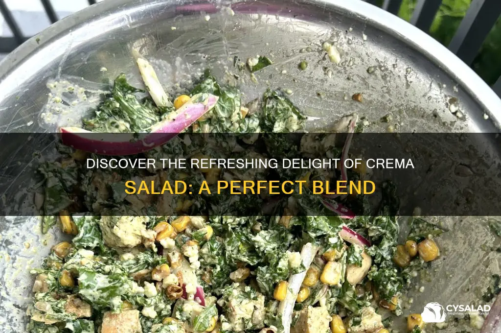 Discover The Refreshing Delight Of Crema Salad: A Perfect Blend | CySalad