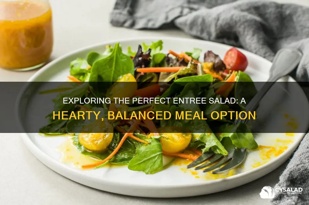Exploring The Perfect Entree Salad: A Hearty, Balanced Meal Option ...