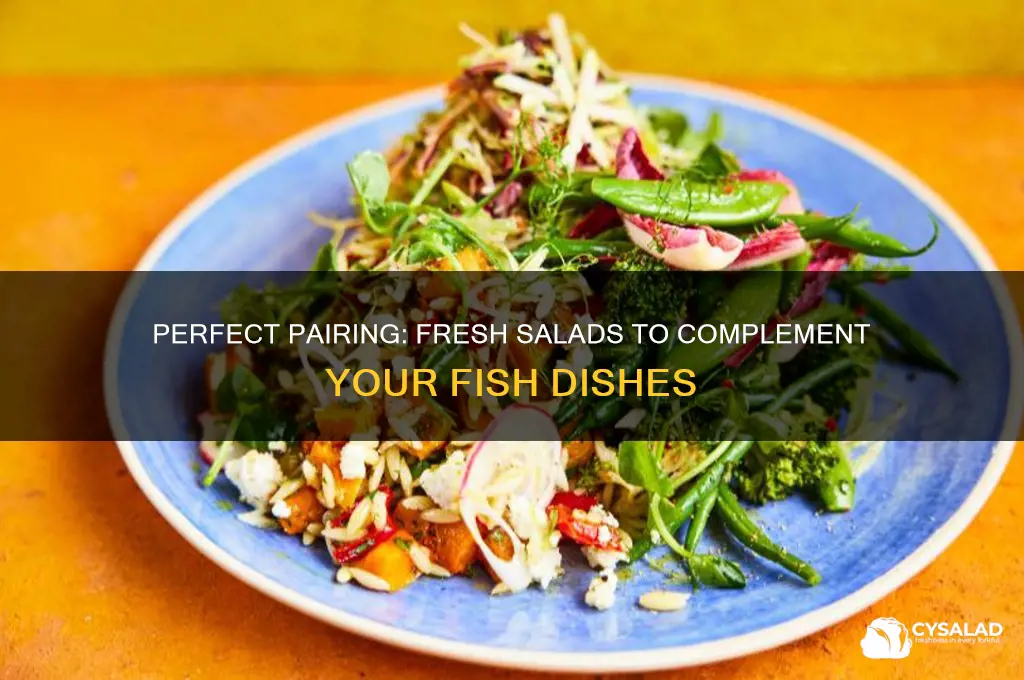 Perfect Pairing: Fresh Salads To Complement Your Fish Dishes | CySalad