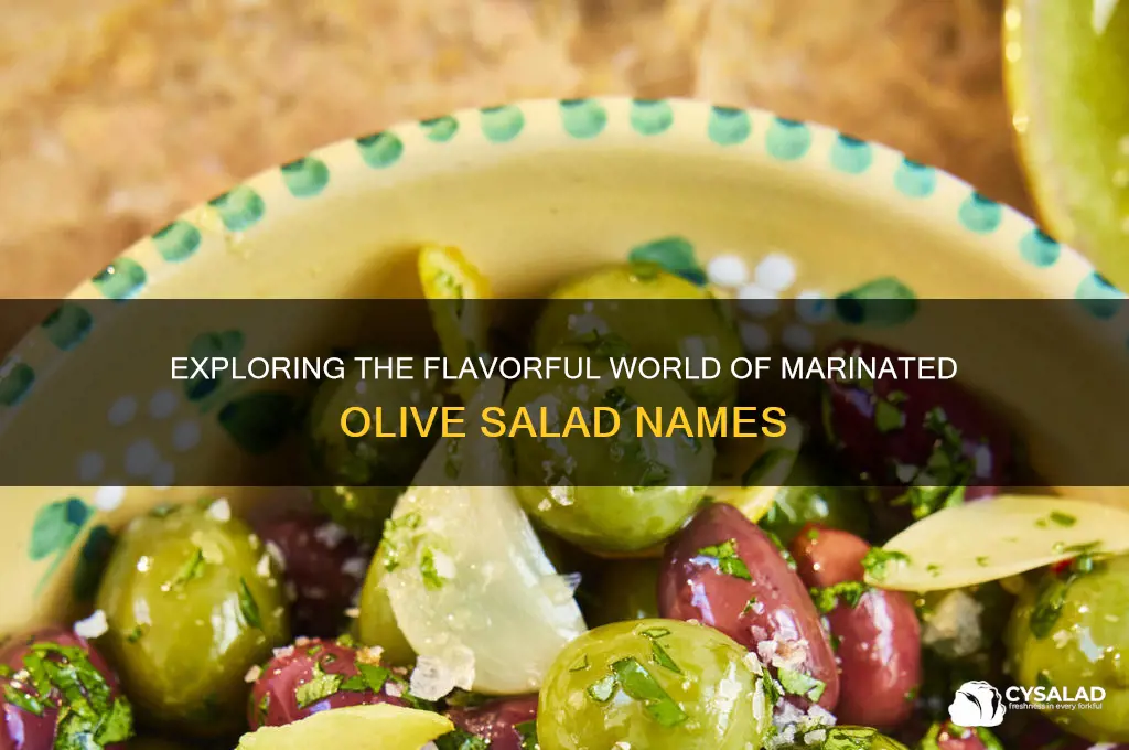 Exploring The Flavorful World Of Marinated Olive Salad Names | CySalad