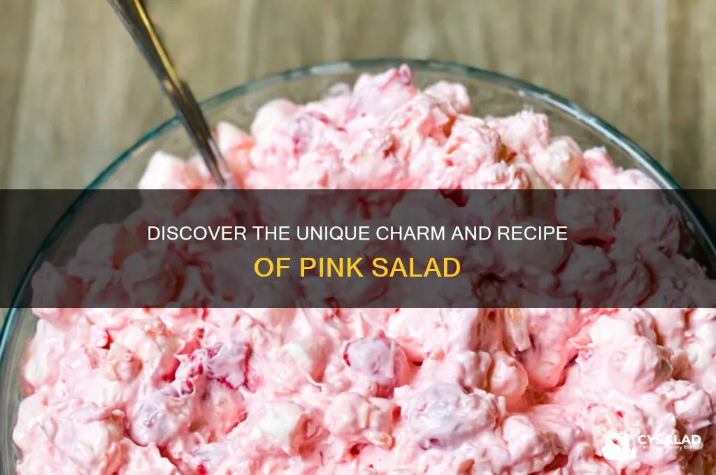 Discover The Unique Charm And Recipe Of Pink Salad | CySalad