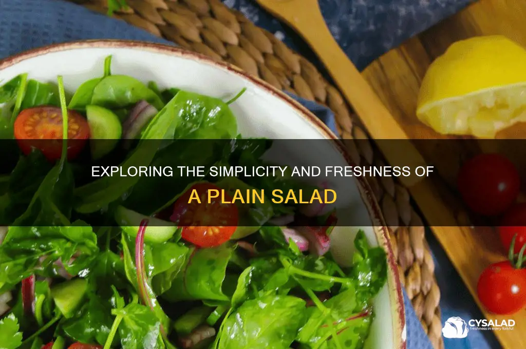 Exploring The Simplicity And Freshness Of A Plain Salad | CySalad