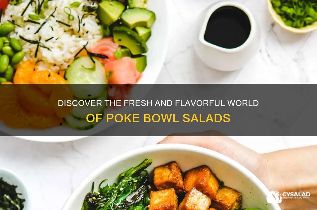 Discover The Fresh And Flavorful World Of Poke Bowl Salads | CySalad