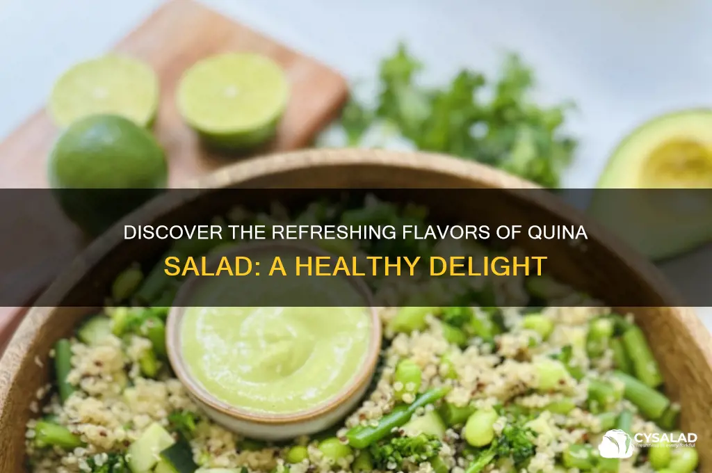 Discover The Refreshing Flavors Of Quina Salad: A Healthy Delight | CySalad