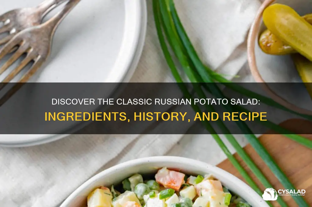 Discover The Classic Russian Potato Salad: Ingredients, History, And ...