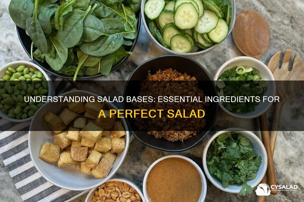 Understanding Salad Bases: Essential Ingredients For A Perfect Salad ...