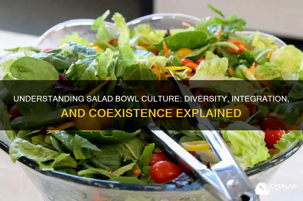 Understanding Salad Bowl Culture: Diversity, Integration, And ...