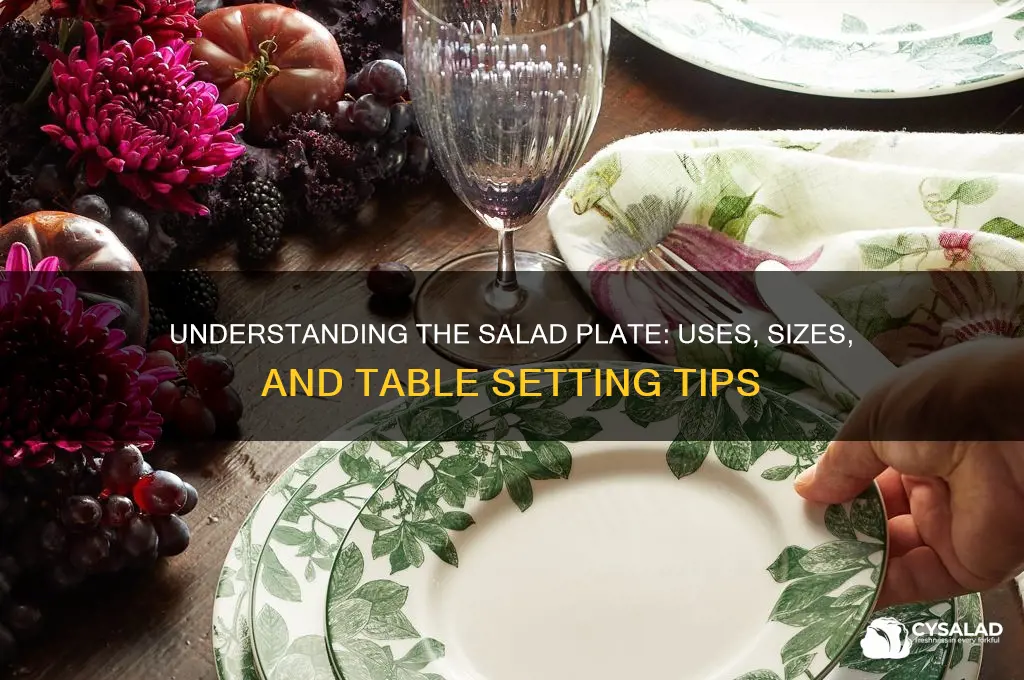 Understanding The Salad Plate: Uses, Sizes, And Table Setting Tips ...